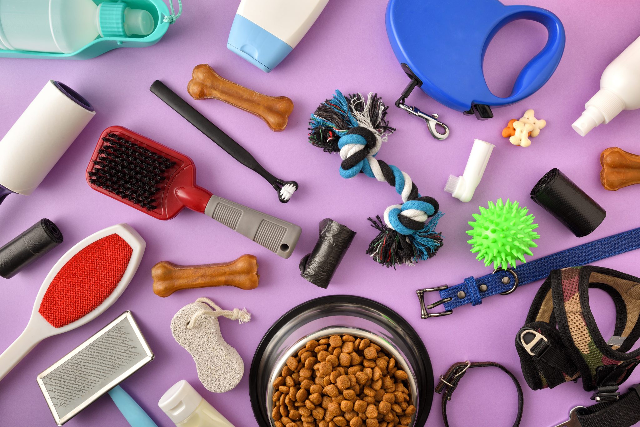 Pet-Friendly Interior Design: Pet Proofing Tips & Tricks - Doors & More